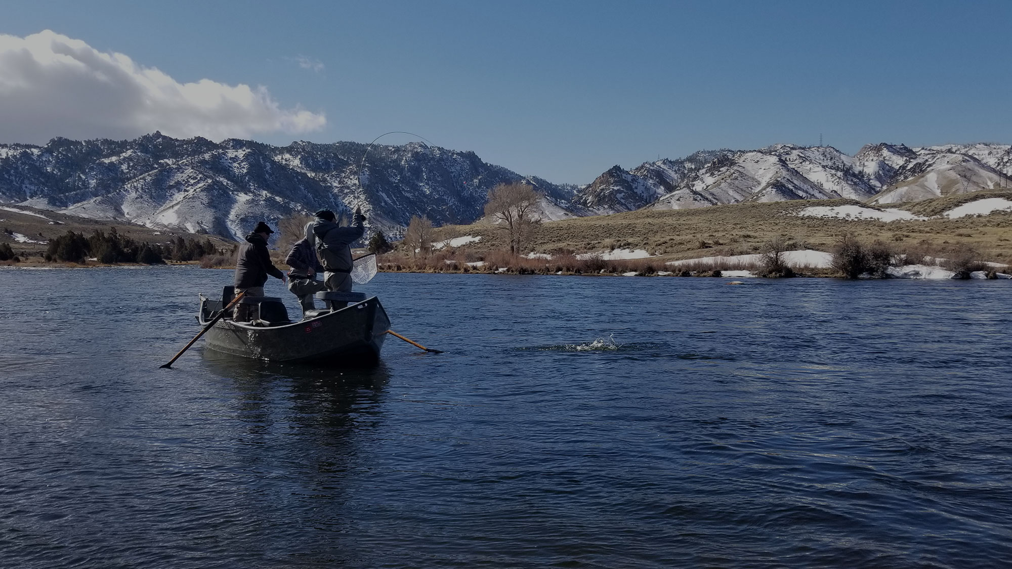 Home - Grey Reef Anglers and Wingshooting