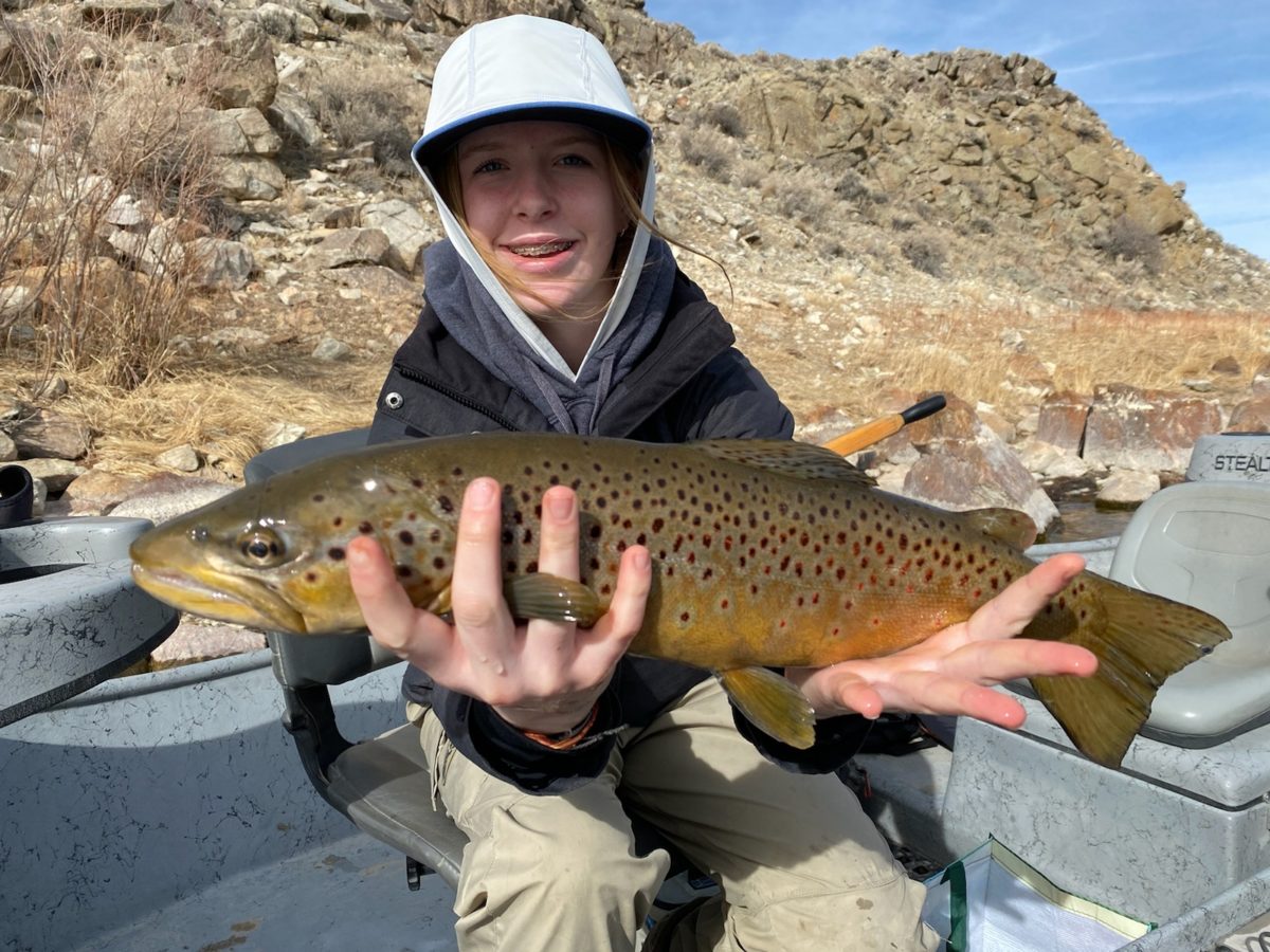 Grey Reef Anglers Fly Fishing Report 2024 - Grey Reef Anglers and ...