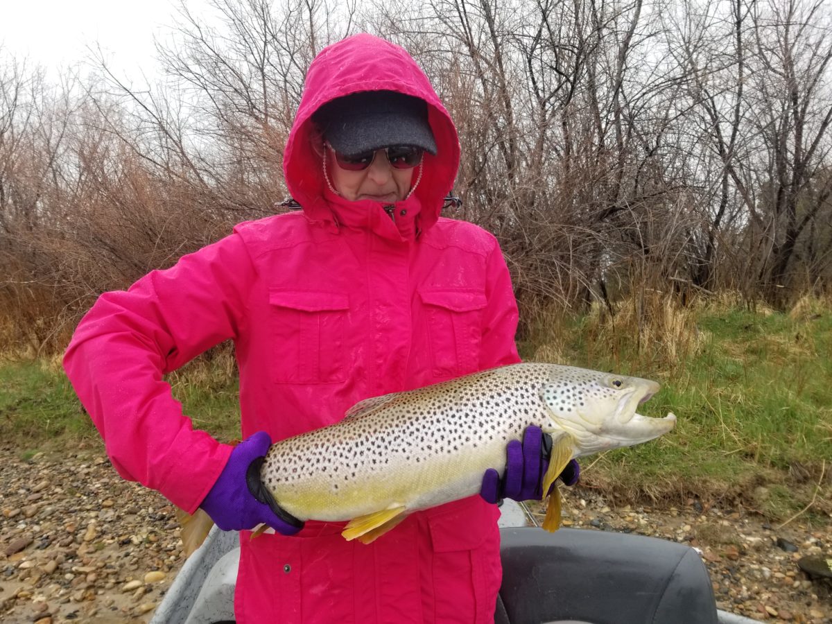 Grey Reef Anglers Fly Fishing Report 2024 - Grey Reef Anglers and ...