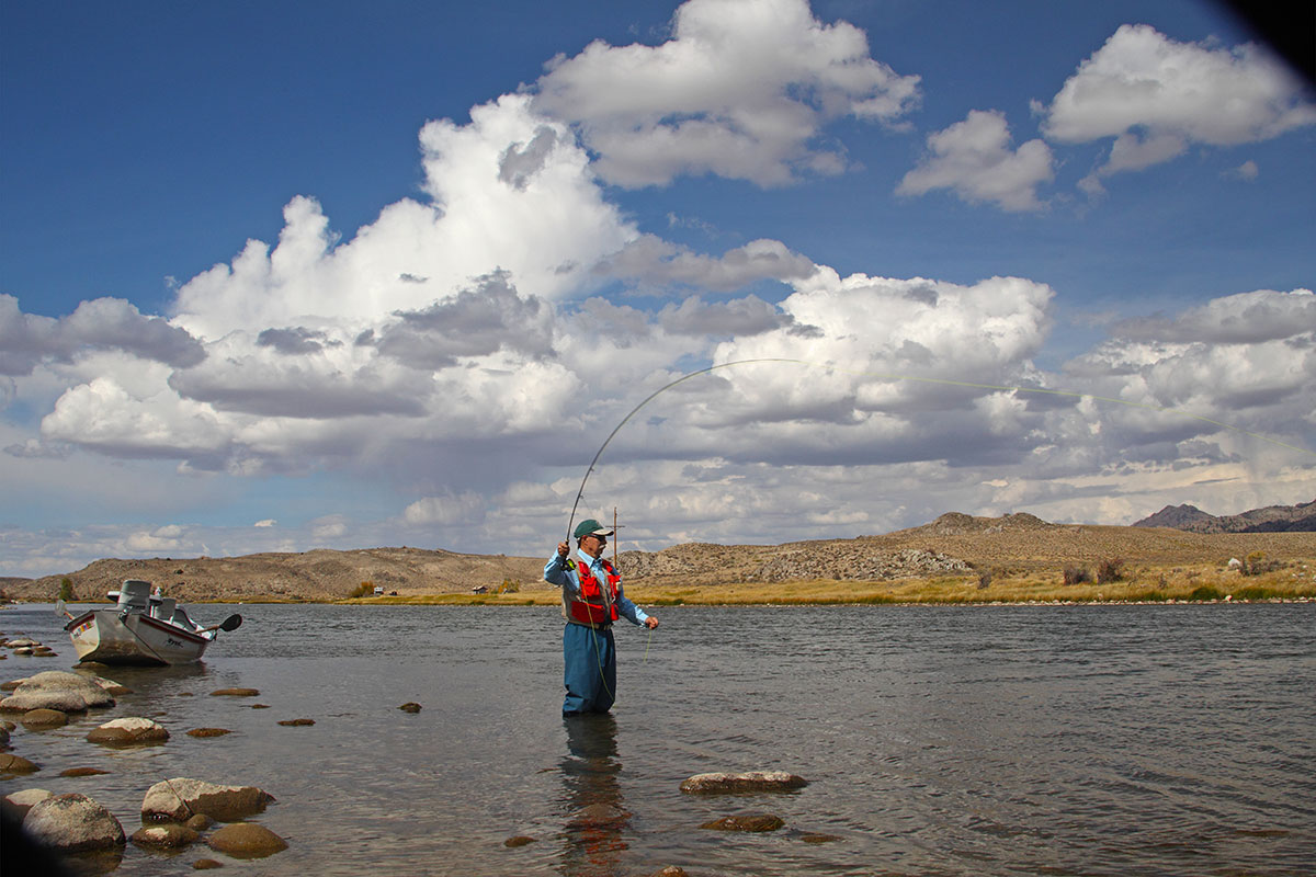 Home - Grey Reef Anglers and Wingshooting